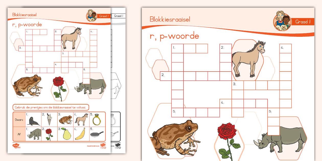 Graad 1 Klanke Blokkiesraaisel r, p (teacher made) - Twinkl