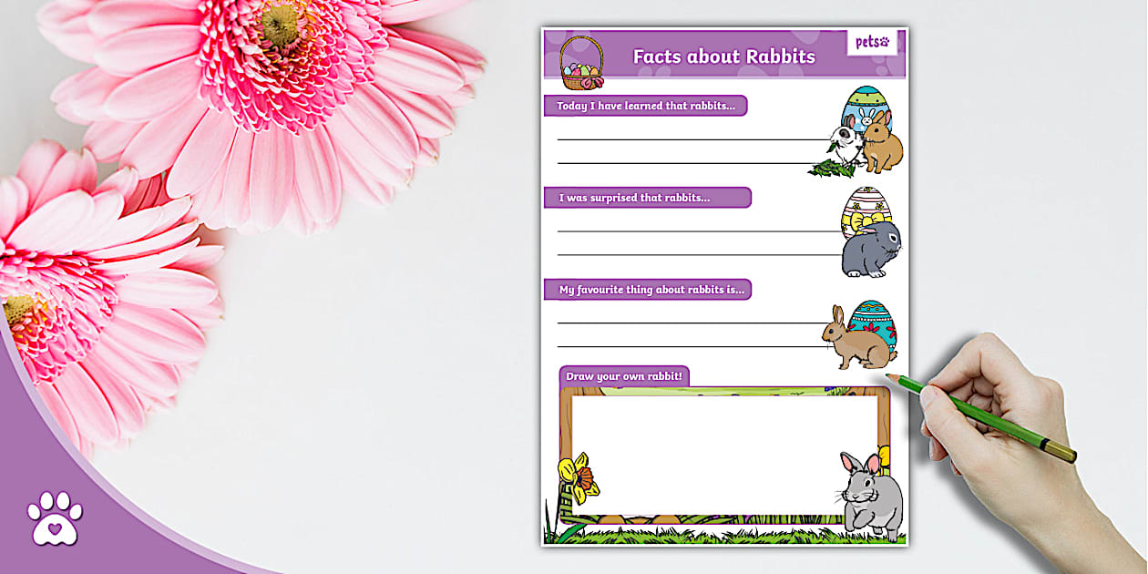 Facts about Rabbits - Activity Sheet - Easter - Twinkl Pets