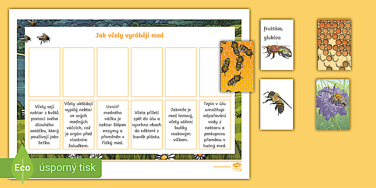 Jak včely vyrábějí med (Teacher-Made) - Twinkl