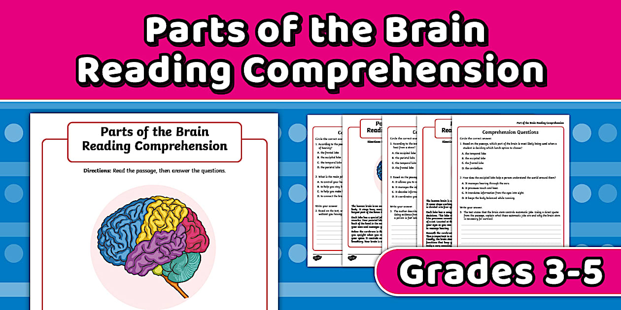 Parts of the Brain Reading Passage Comprehension Worksheets
