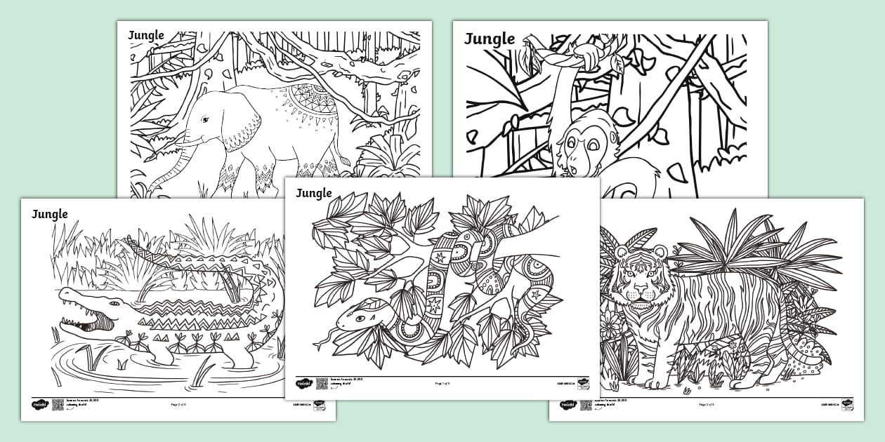 Jungle Journey Colouring Pages (teacher made) - Twinkl