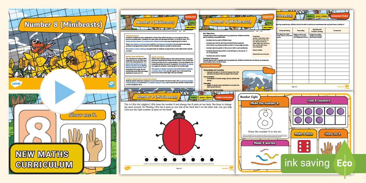 Number 8 (Minibeasts) Resource Pack (teacher made) - Twinkl