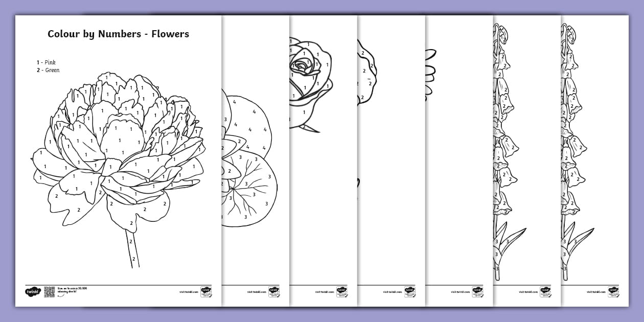 Colour by Number Flower Colouring Pages | Resources | Twinkl