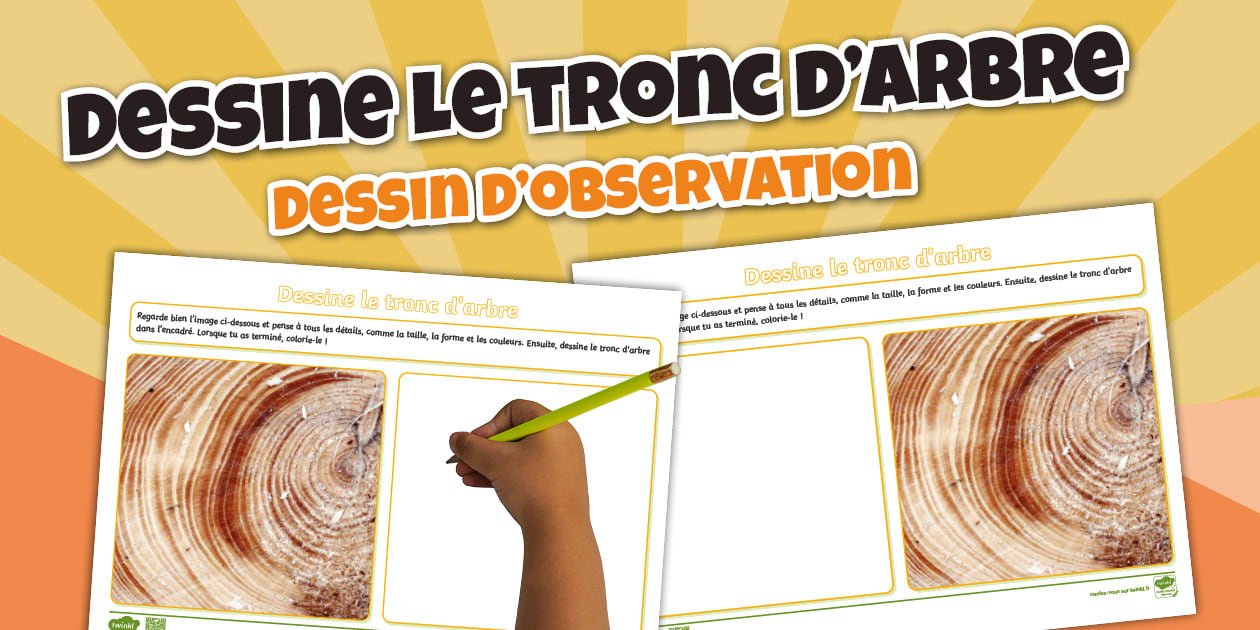 * NEW * Feuille d'activité : Dessine le tronc d'arbre