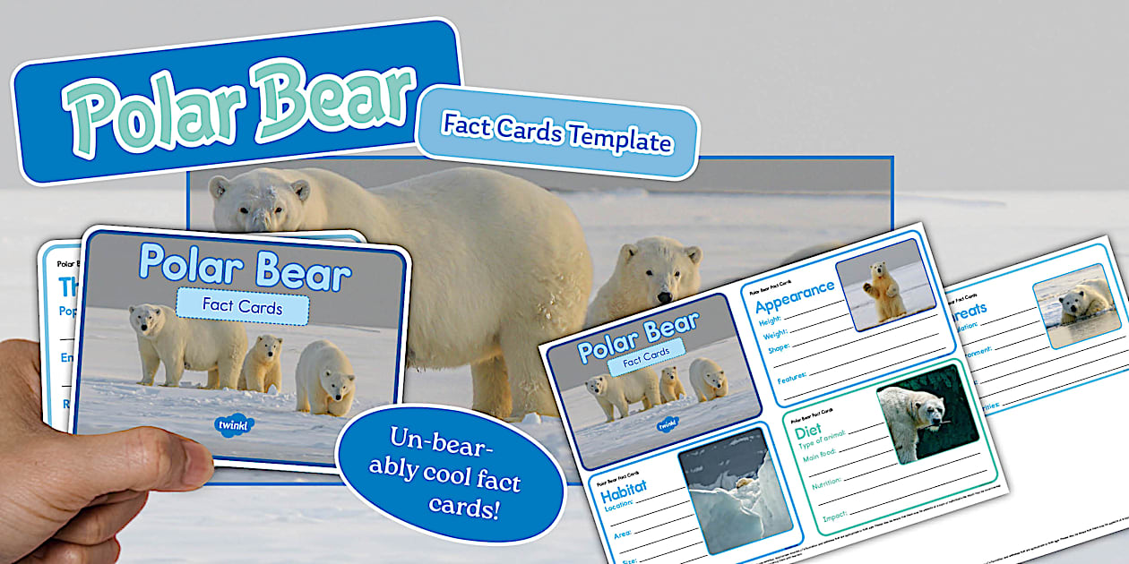 Polar Bear Fact Cards Template