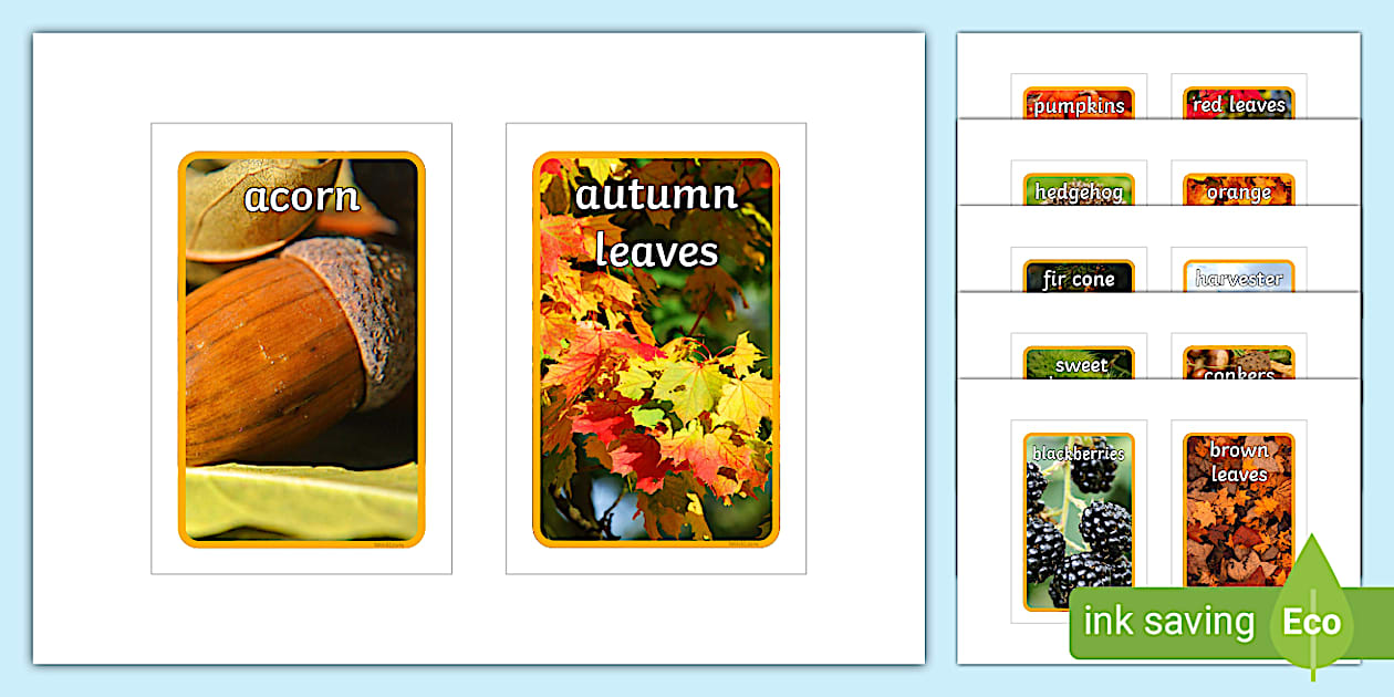 Autumn Display Photos for Tolsby / Fiestad Frames - Twinkl