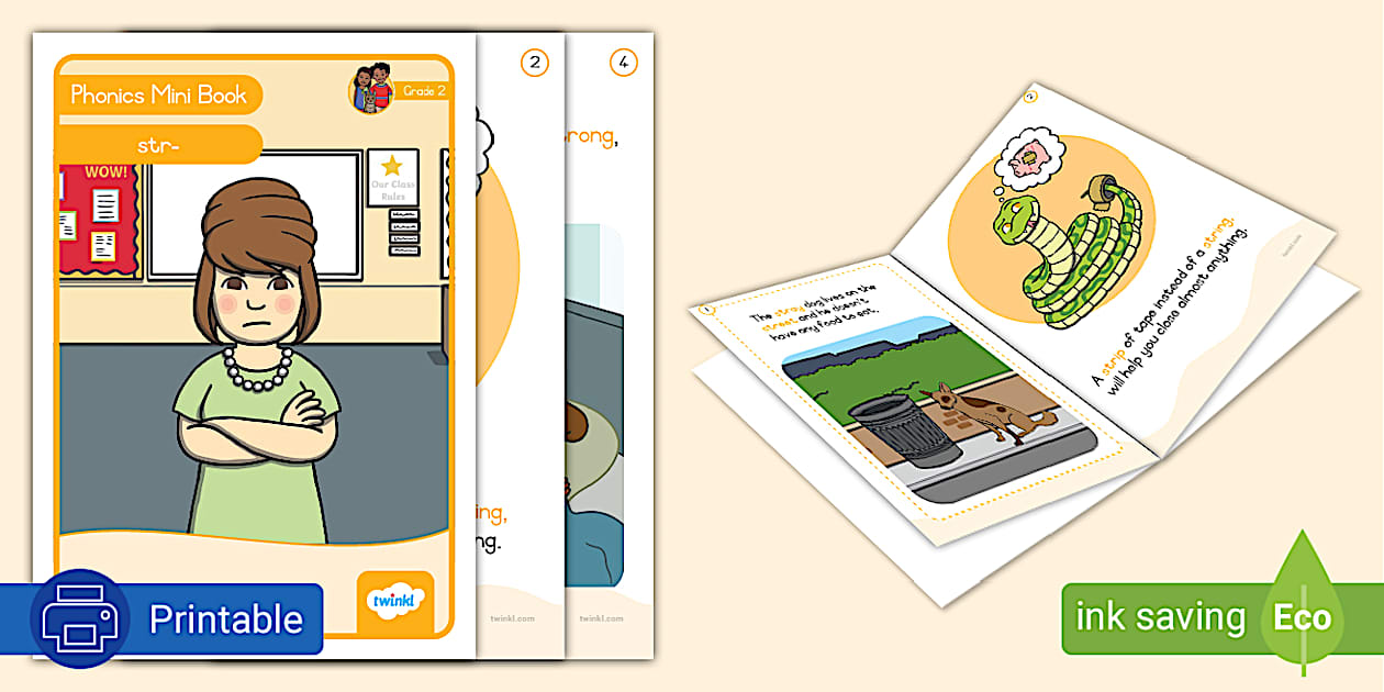Grade 2 Phonics Mini Book str- (teacher made) - Twinkl