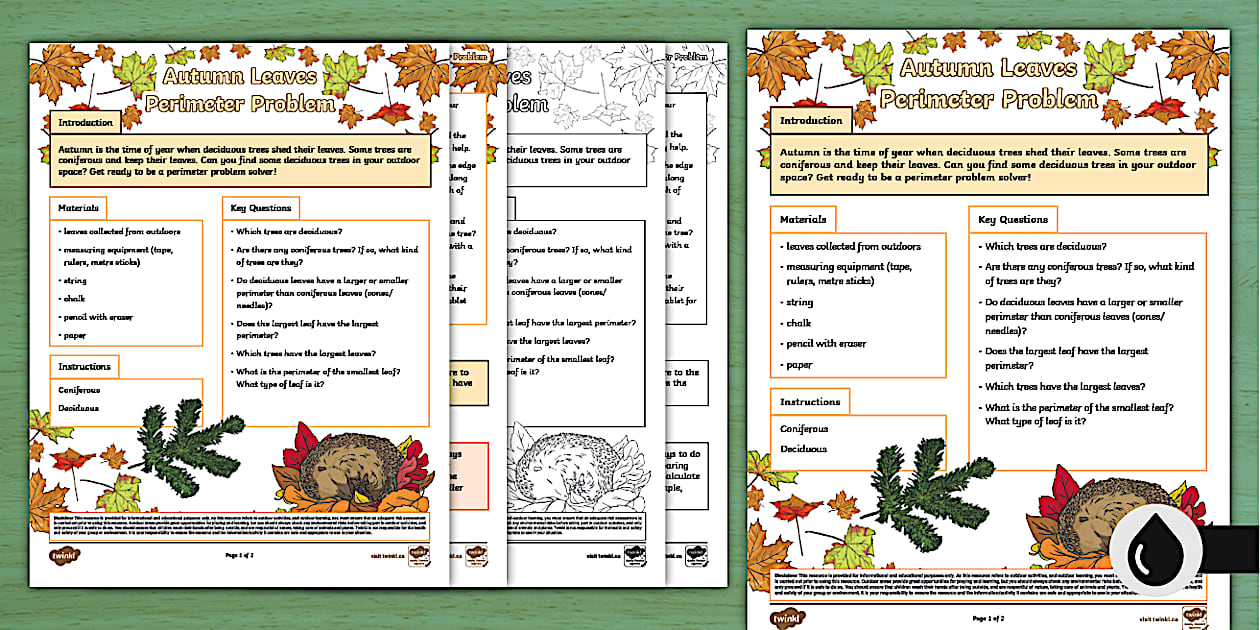 Outdoor Math Activities for Grade 6 (Teacher-Made) - Twinkl