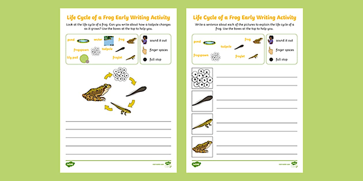 Editable Life Cycle of a Frog Early Writing Activities
