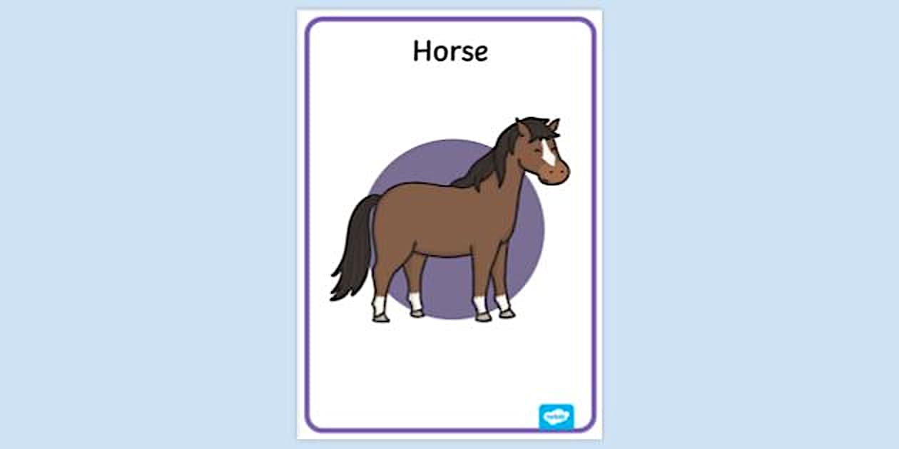 Horse Poster For KS1 | Primary Resources | Twinkl - Twinkl