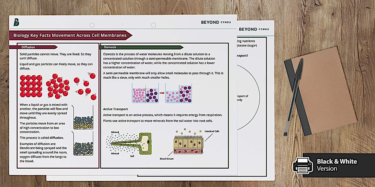 Biology Activity Mat: Movement Across Cell Membranes