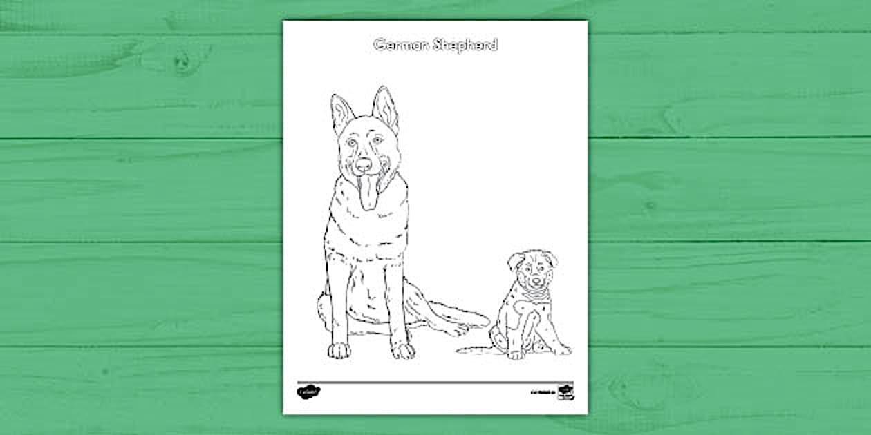 German Shepherd Colouring Sheet | Twinkl Canada