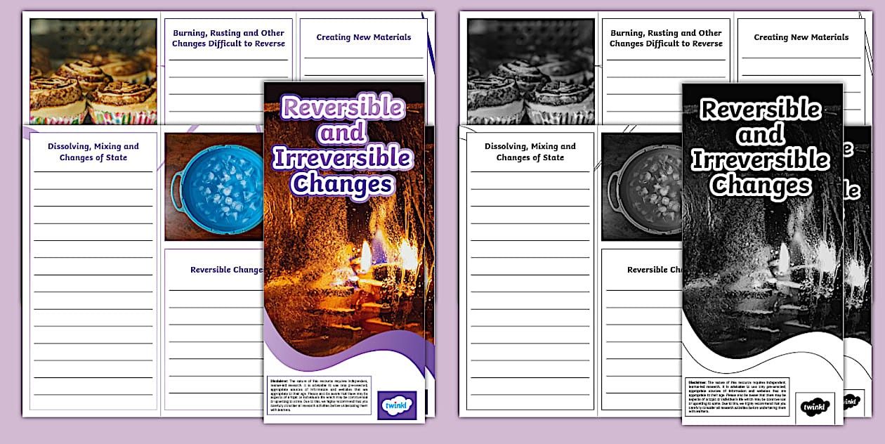 Reversible and Irreversible Changes Leaflet Template