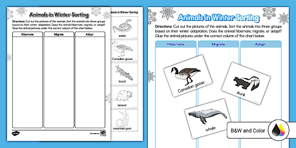 Animals in Winter Sorting Worksheet for K-2nd Grade - Twinkl