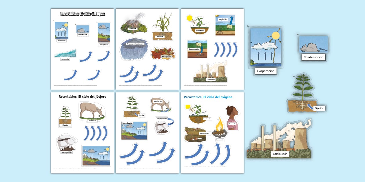 Paquete de recursos: Recortables - Los ciclos biogeoquímicos