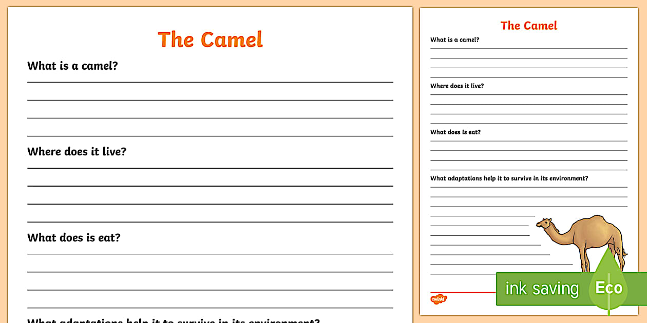 Editable KS2 Camel Fact Text Writing Template (teacher made)