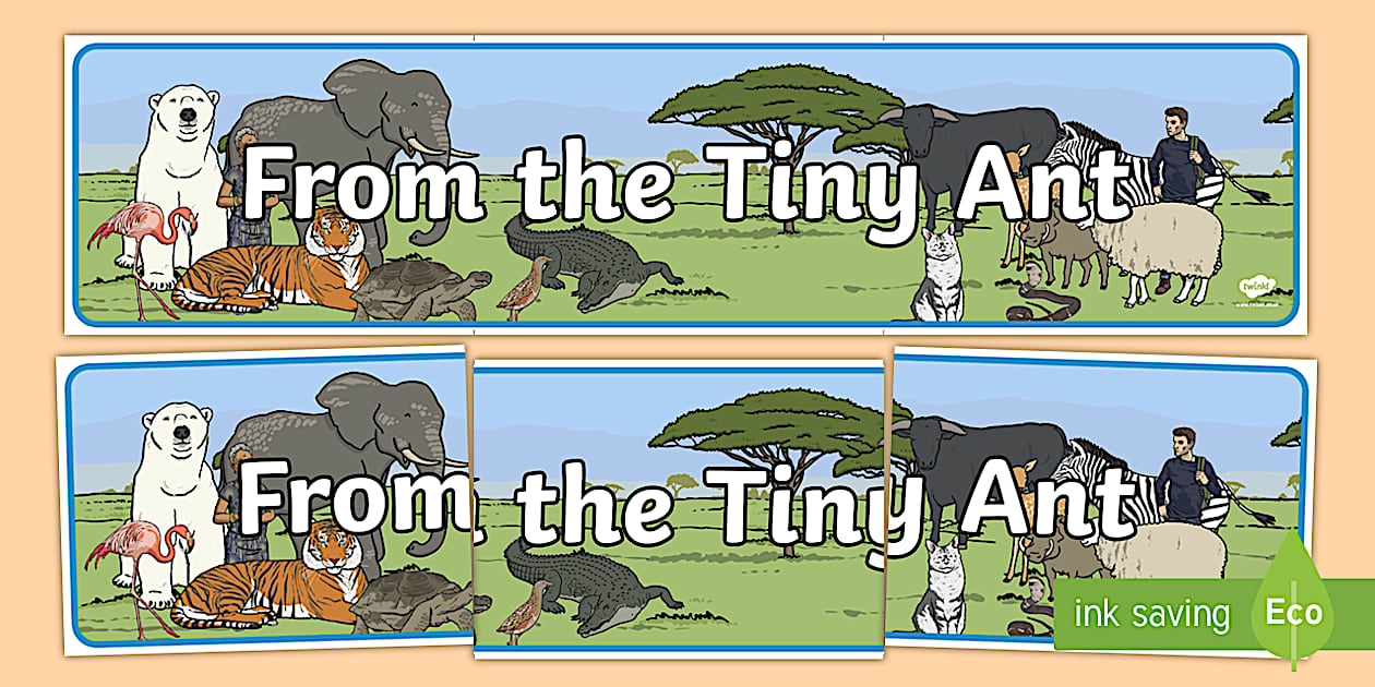 👉 From the Tiny Ant Display Banner - From a Tiny Ant Display Banner