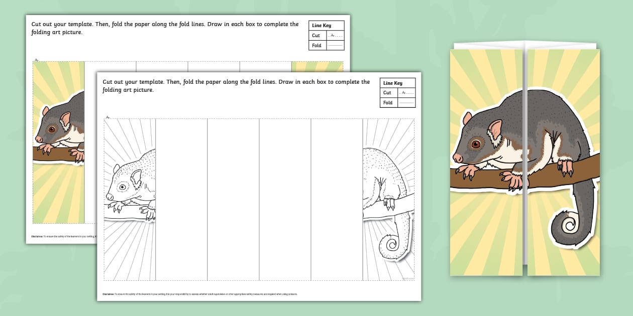 Possum Folding Art Template - Twinkl Art