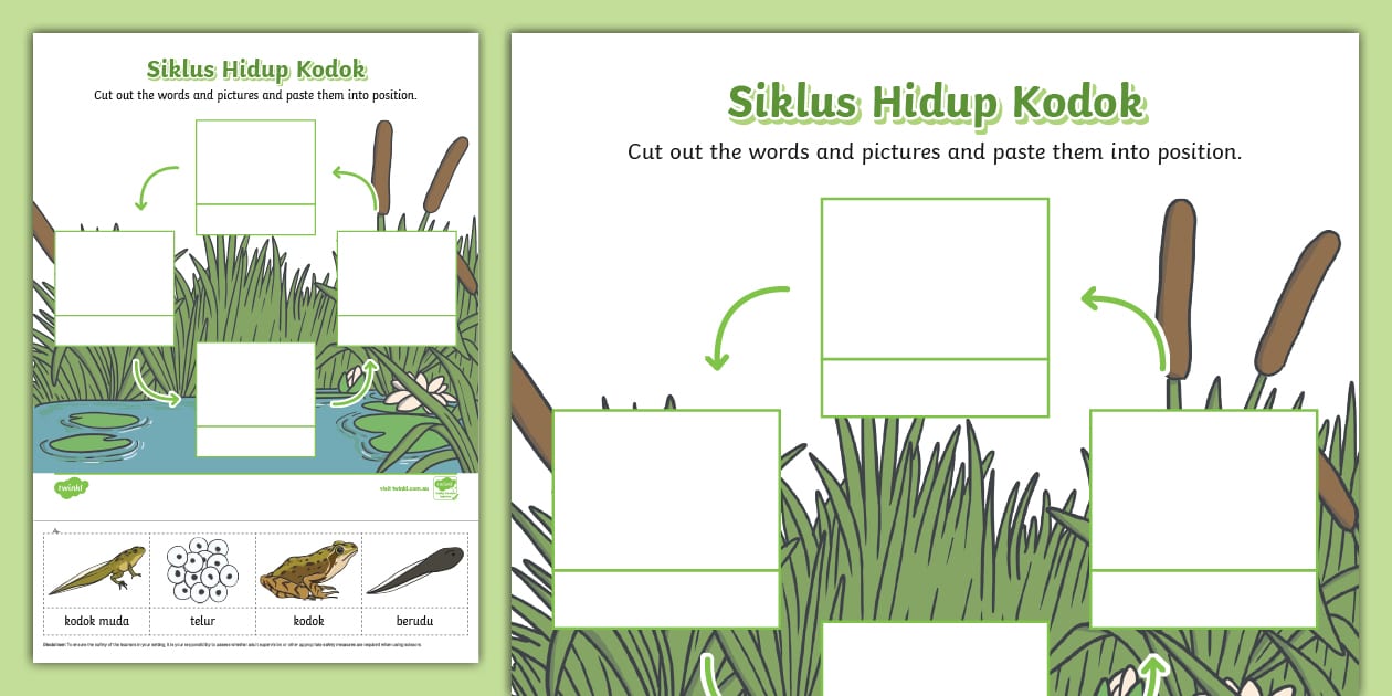 Frog Life Cycle Cut and Paste Activity - Indonesian