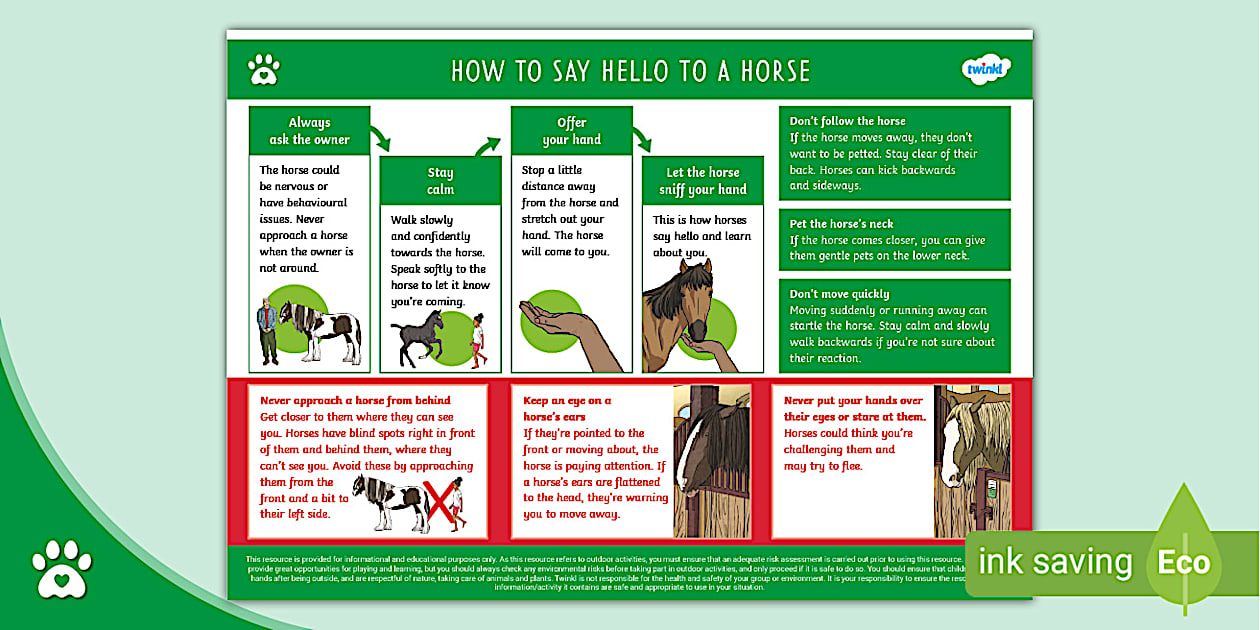 How to Say Hello to a Horse - Sequencing Poster - Pet Care