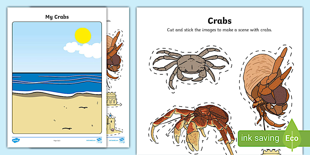 Crabs Cut and Stick Activity (teacher made) - Twinkl