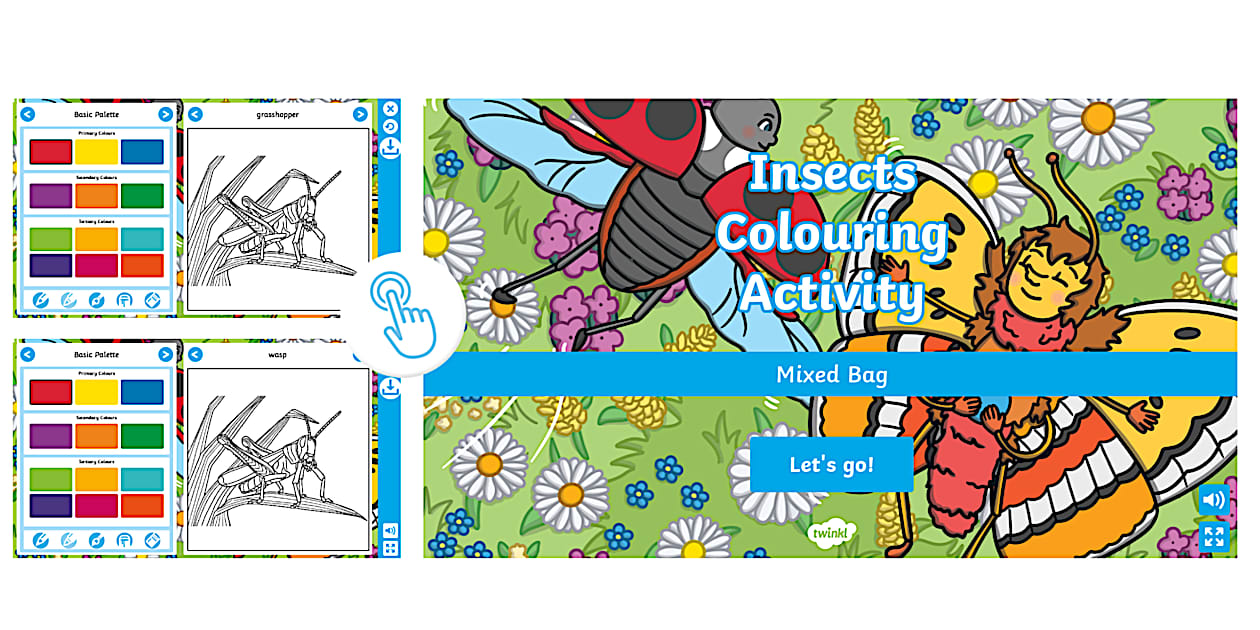 Insects Interactive Colouring (teacher made) - Twinkl