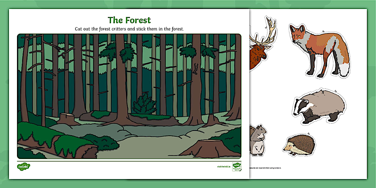 Forest Cut and Stick Activity (teacher made) - Twinkl