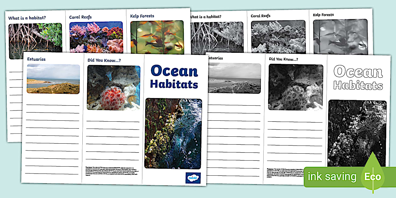 Ocean Habitat Leaflet Template (teacher made) - Twinkl