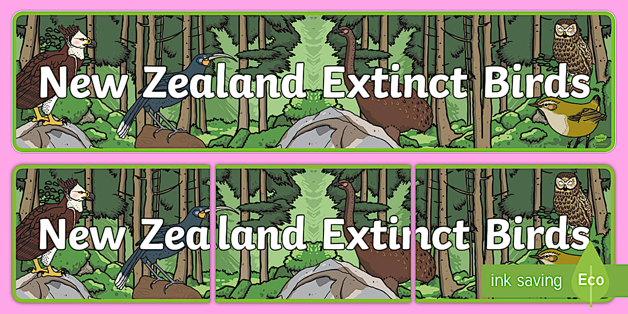 New Zealand Extinct Birds Banner (teacher made) - Twinkl