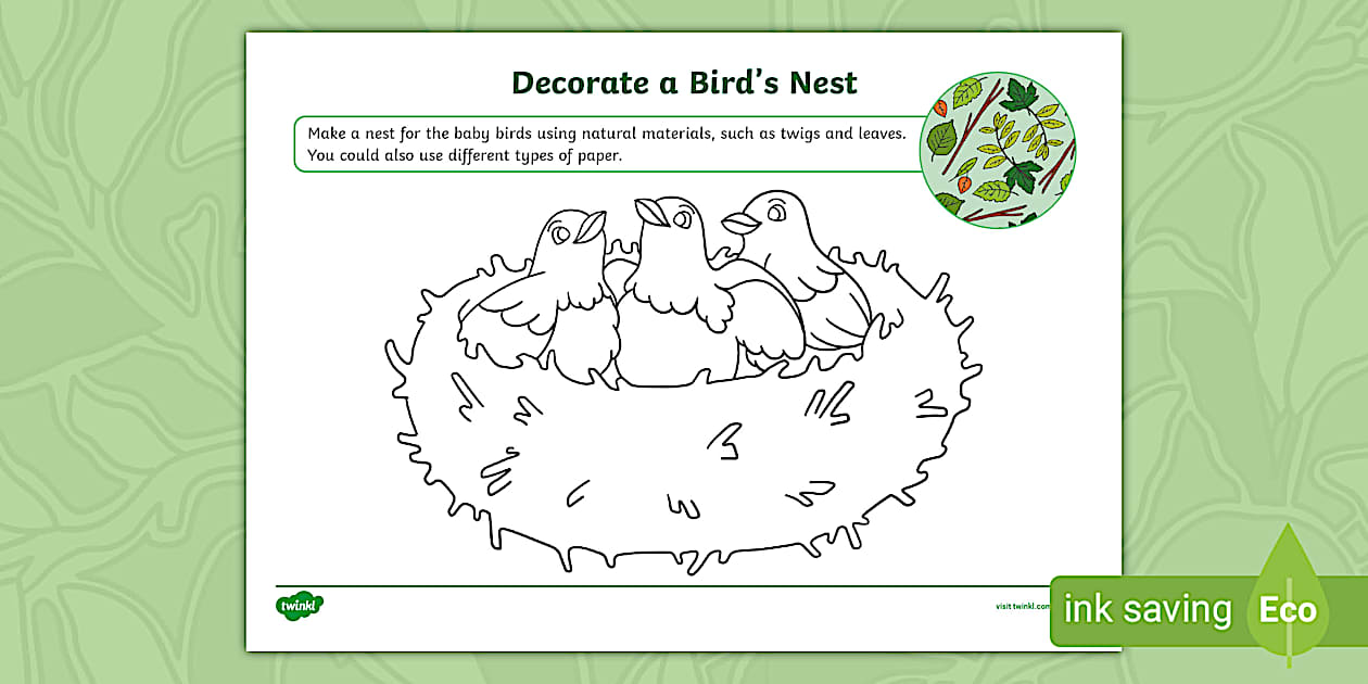 Bird Nest Natural Materials Collage Activity | Twinkl