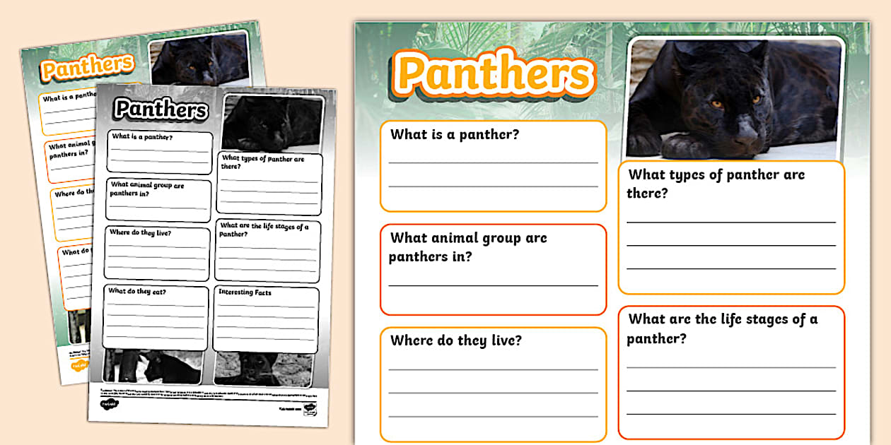 Panthers Fact File Template - Twinkl Primary (teacher made)