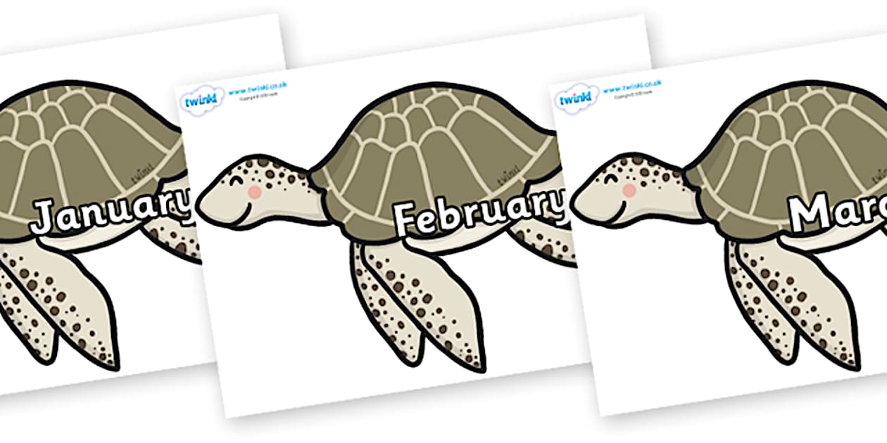 Months of the Year on Turtles (Teacher-Made) - Twinkl