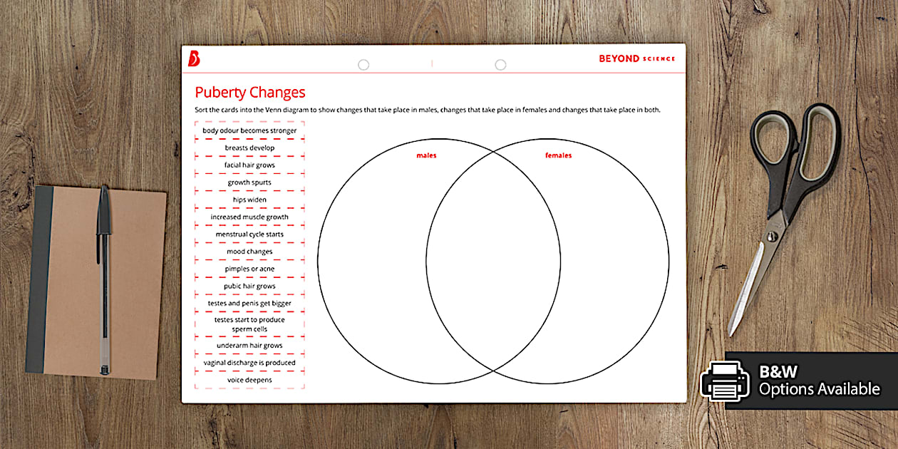 Puberty Changes Worksheet | KS3 Biology | Beyond - Twinkl