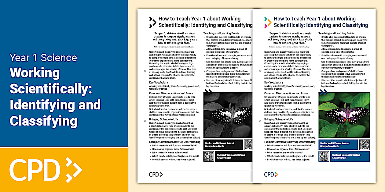 Working Scientifically in Year 1 - Identifying and Classifying