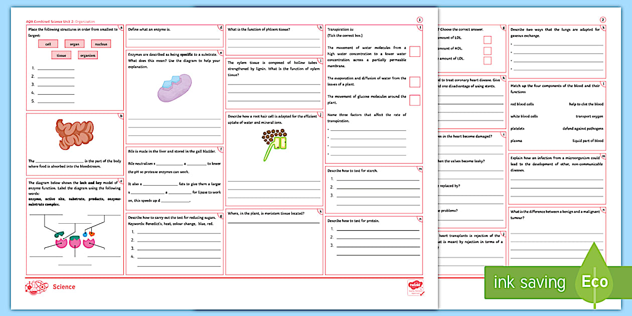 AQA Biology (Combined) Unit 2: Organisation Foundation Revision ...