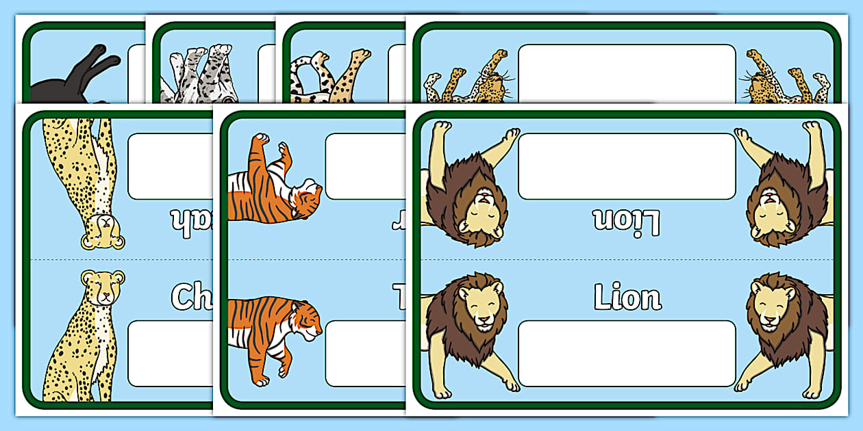 👉 Big Cats Group Table Signs (teacher made) - Twinkl