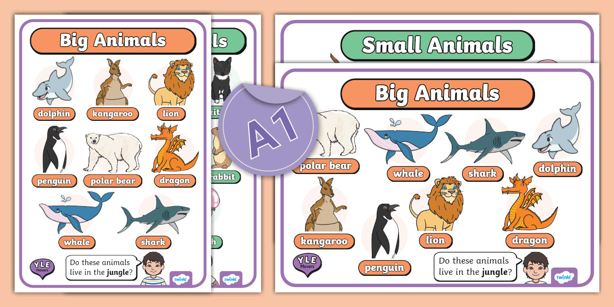 YLE Movers - Animals Vocabulary Posters (Teacher-Made)