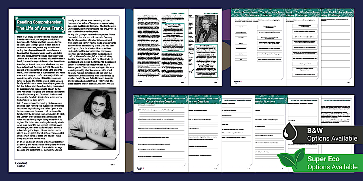BGE Reading Comprehension: The Life of Anne Frank - Twinkl