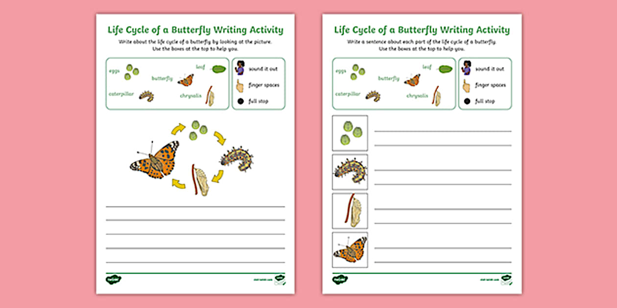 Life Cycle of a Butterfly Early Writing Activities - Twinkl