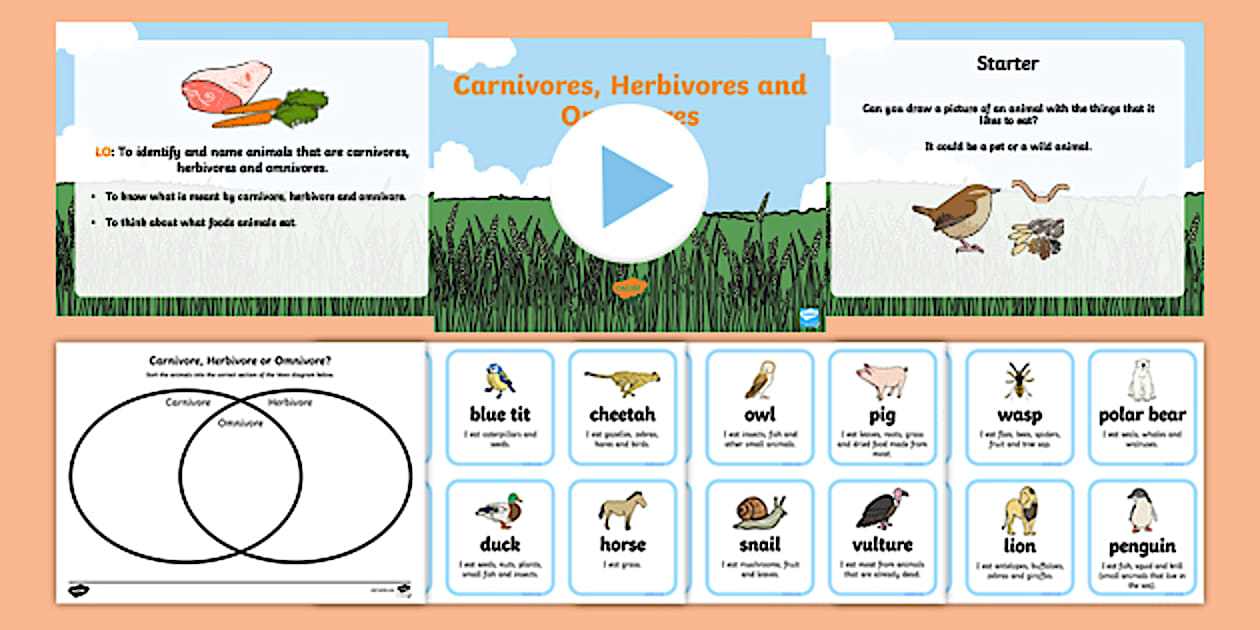 Editable Identifying Herbivores, Carnivores and Omnivores - Teaching Pack