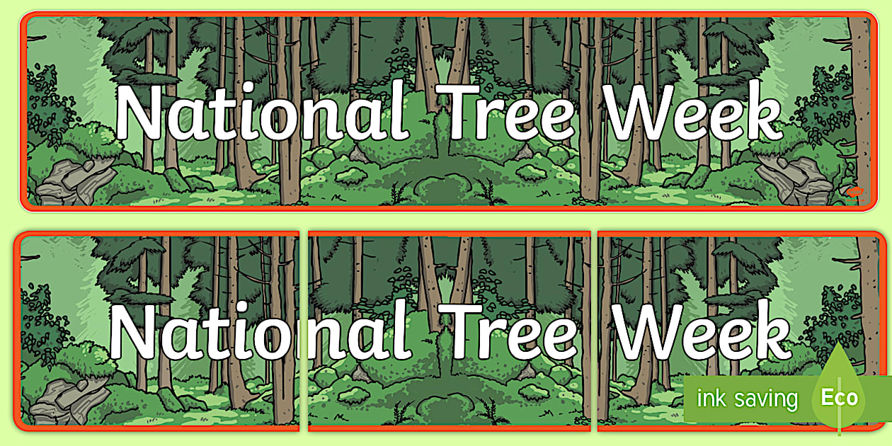 National Tree Week Display Banner | SESE | 1st/2nd Class