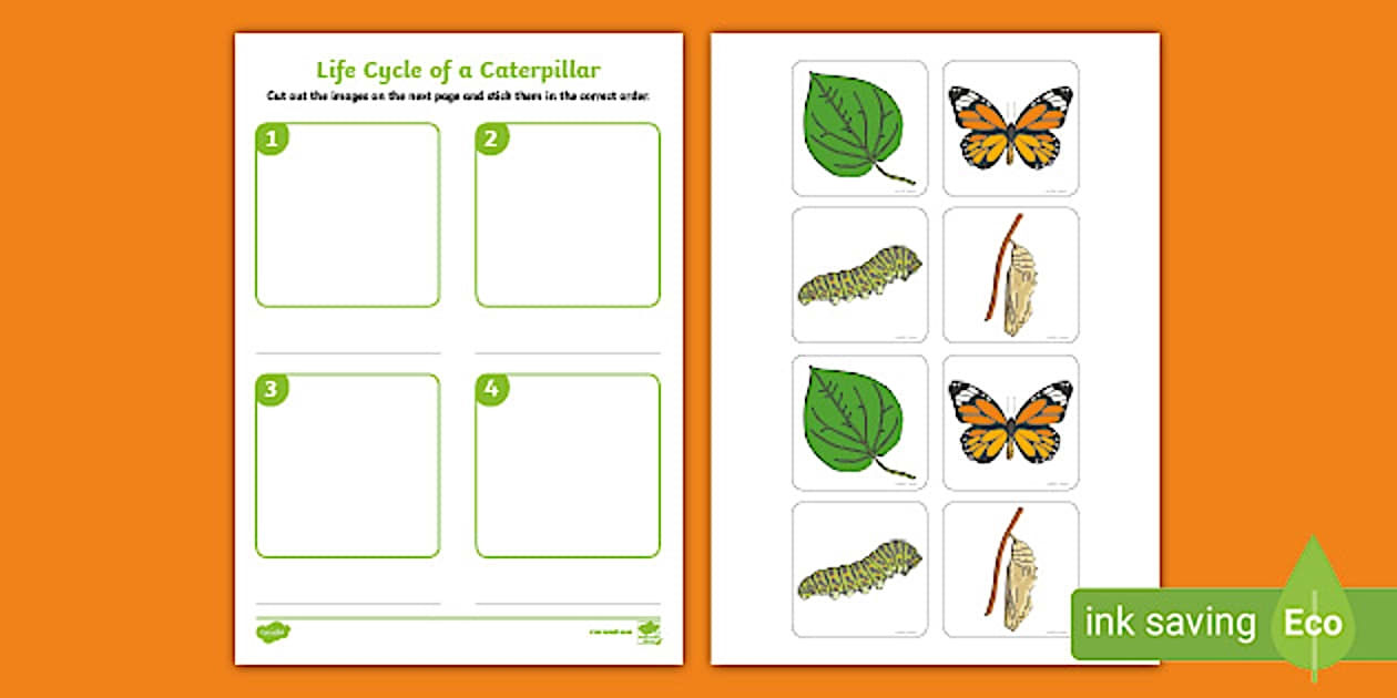 Black and White Caterpillar Life Cycle Cut and Stick Worksheet EYFS