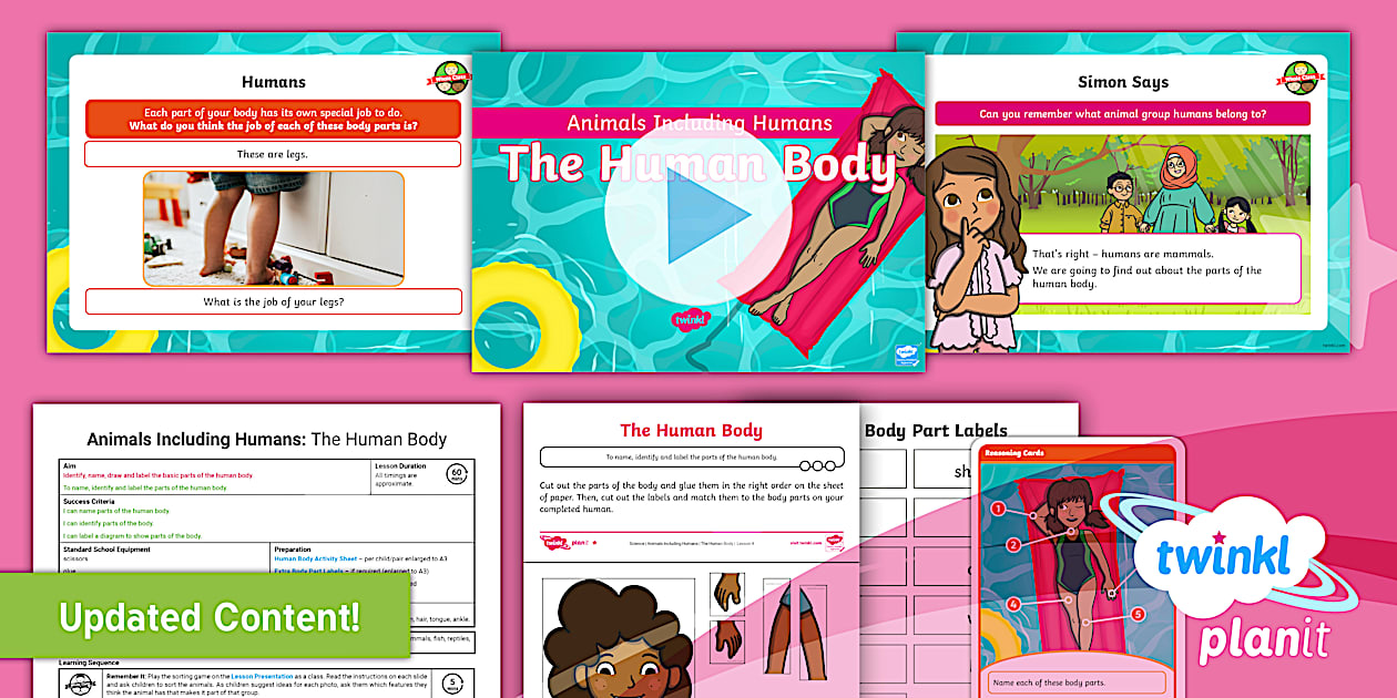 The Human Body | Year 1 Animals Including Humans | Science