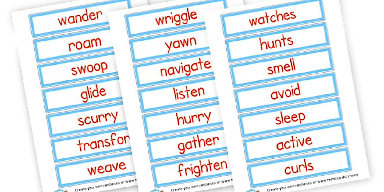 verb cards - nocturnal (teacher made) - Twinkl
