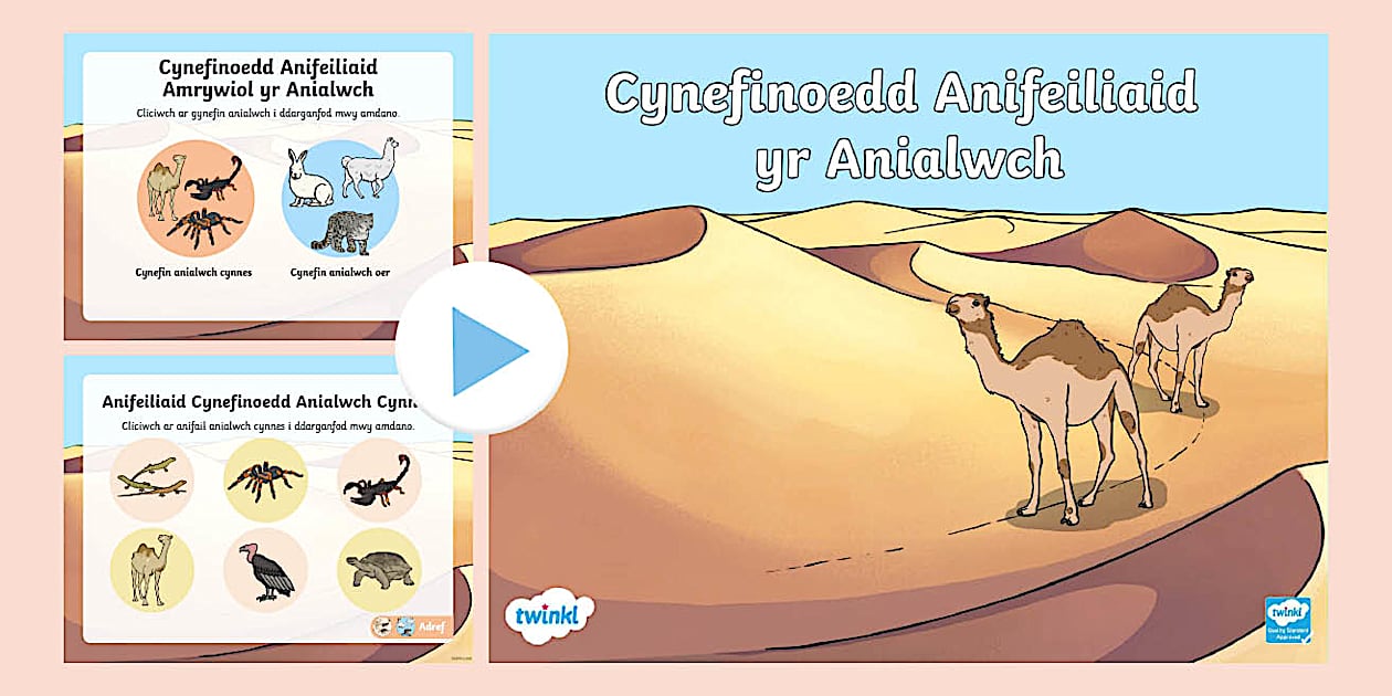 Pwêrbwynt Cynefinoedd Anifeiliaid yr Anialwch - Twinkl
