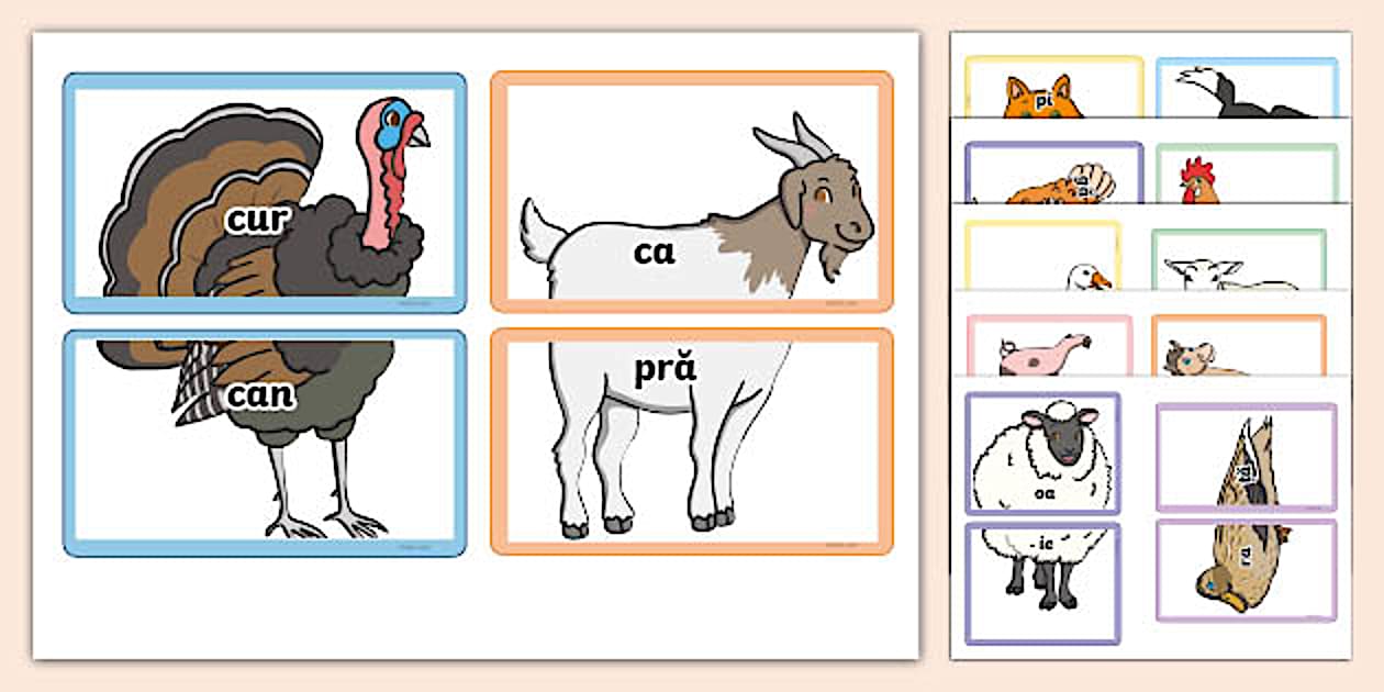 Despărțirea în silabe Animale de la fermă Jetoane cu imagini