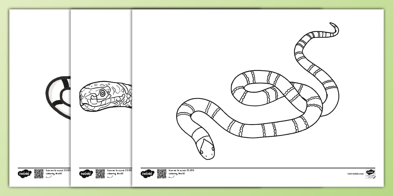 Sea Coral Snake Colouring Sheets | Colouring Pages - Twinkl