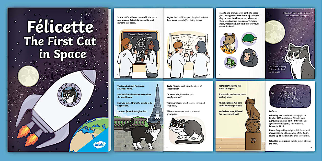Félicette, The First Cat in Space e-Book - Twinkl Scotland