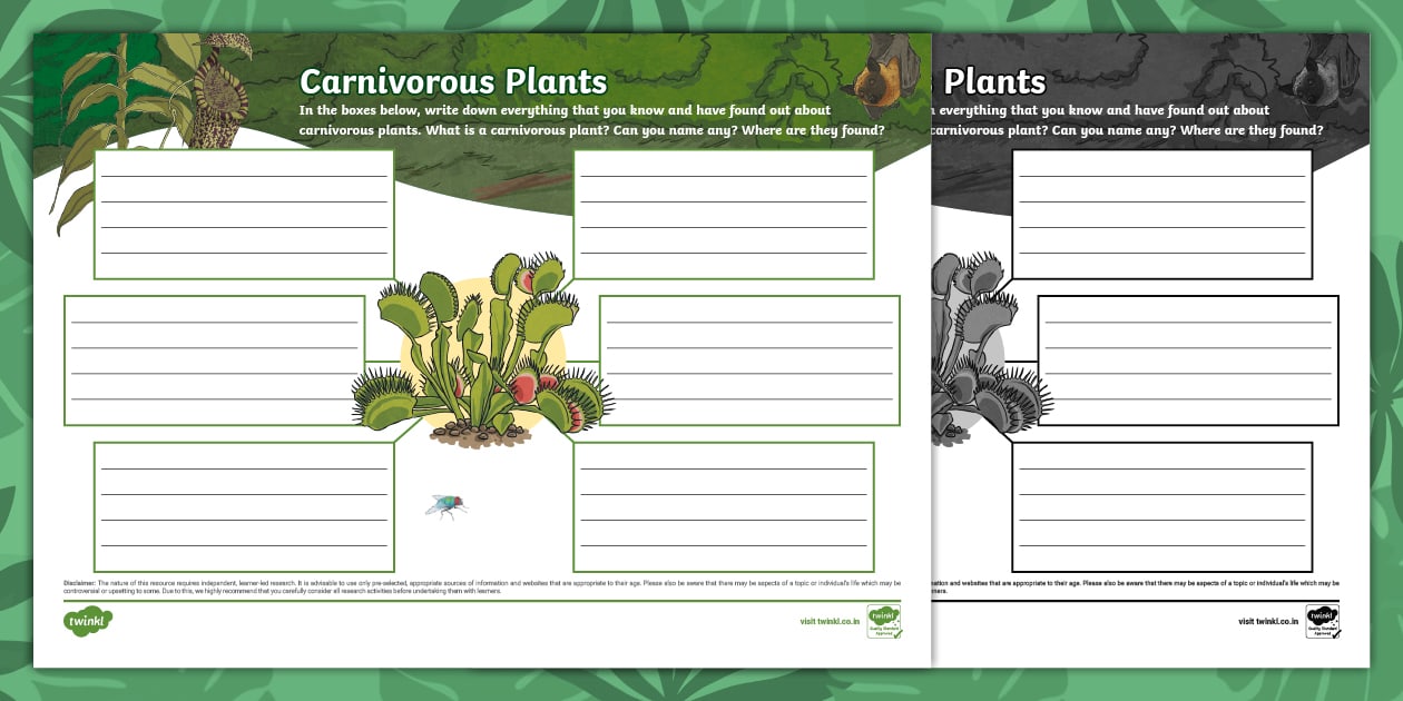 Carnivorous Plants Mind Map - Twinkl Mind Maps