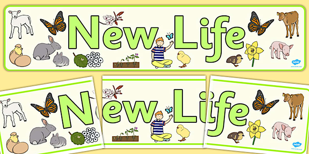 New Life Display Banner (teacher made) - Twinkl